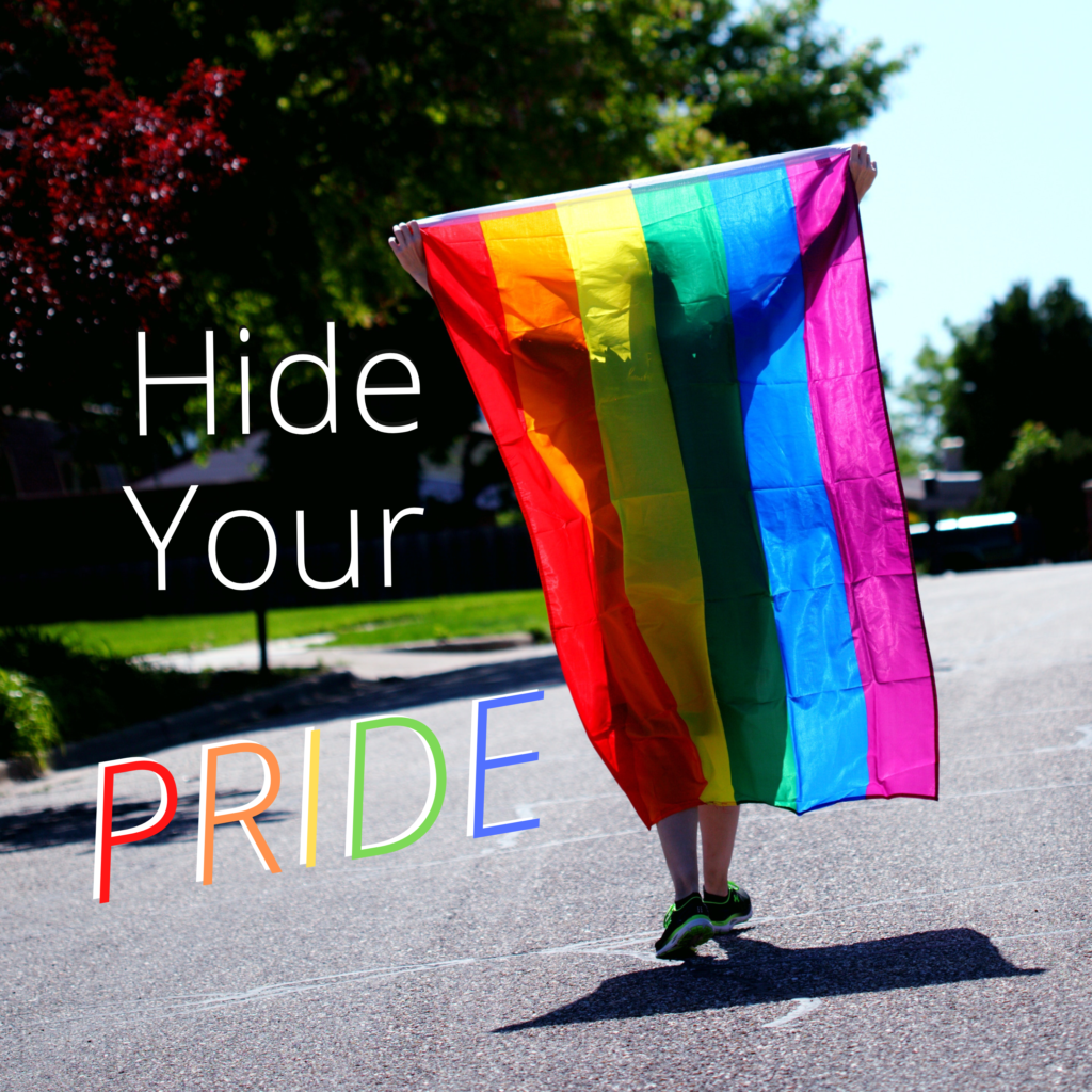Hide Your PRIDE – Follows the tribulations of queer students at Liberty ...