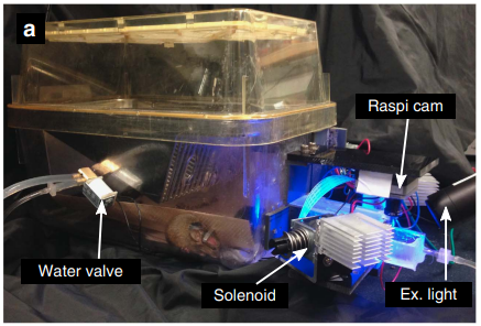 Automated Home-Cage Functional Imaging - OpenBehavior