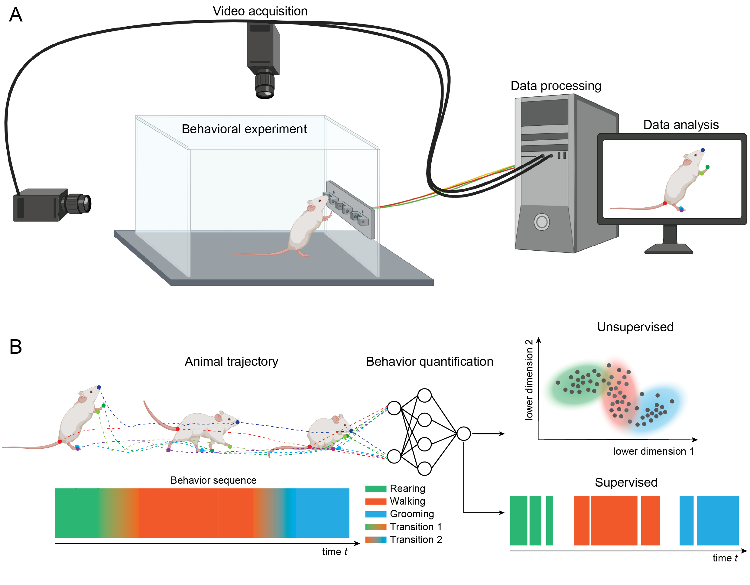 Video methods: Setup and standards - OpenBehavior