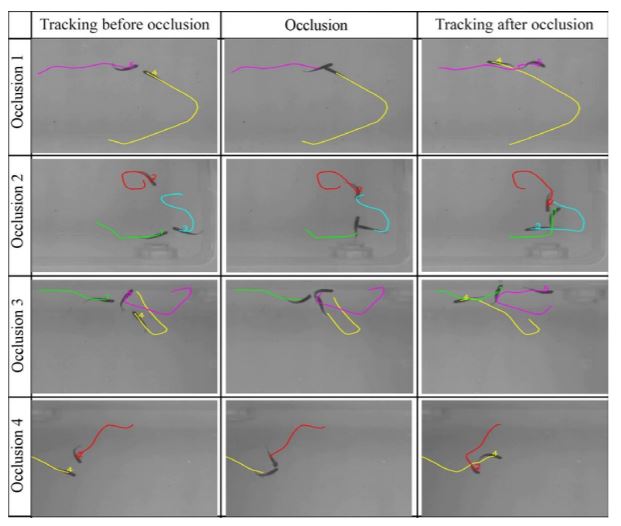 ToxTrac | OpenBehavior
