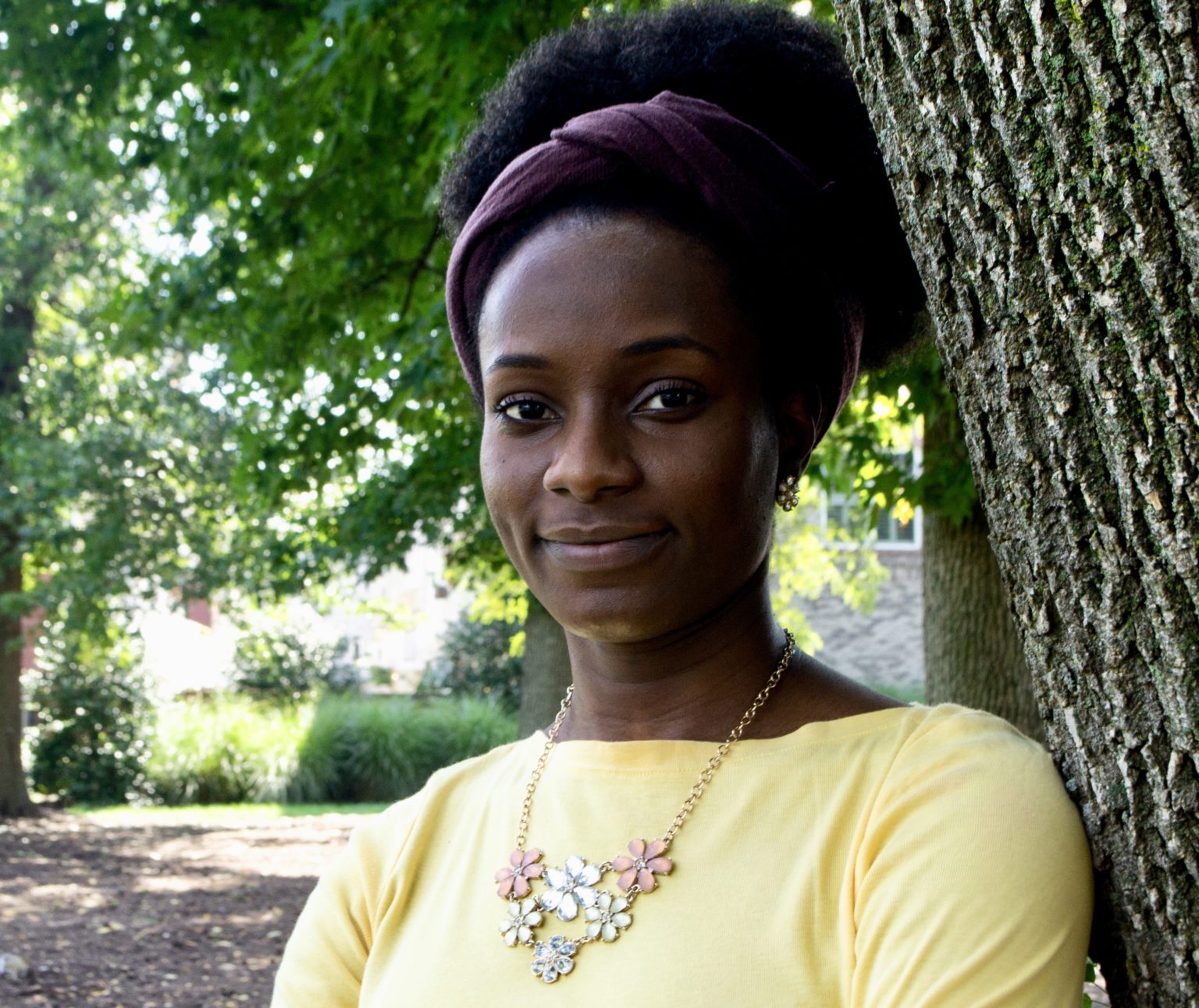 The Cunning Tortoise